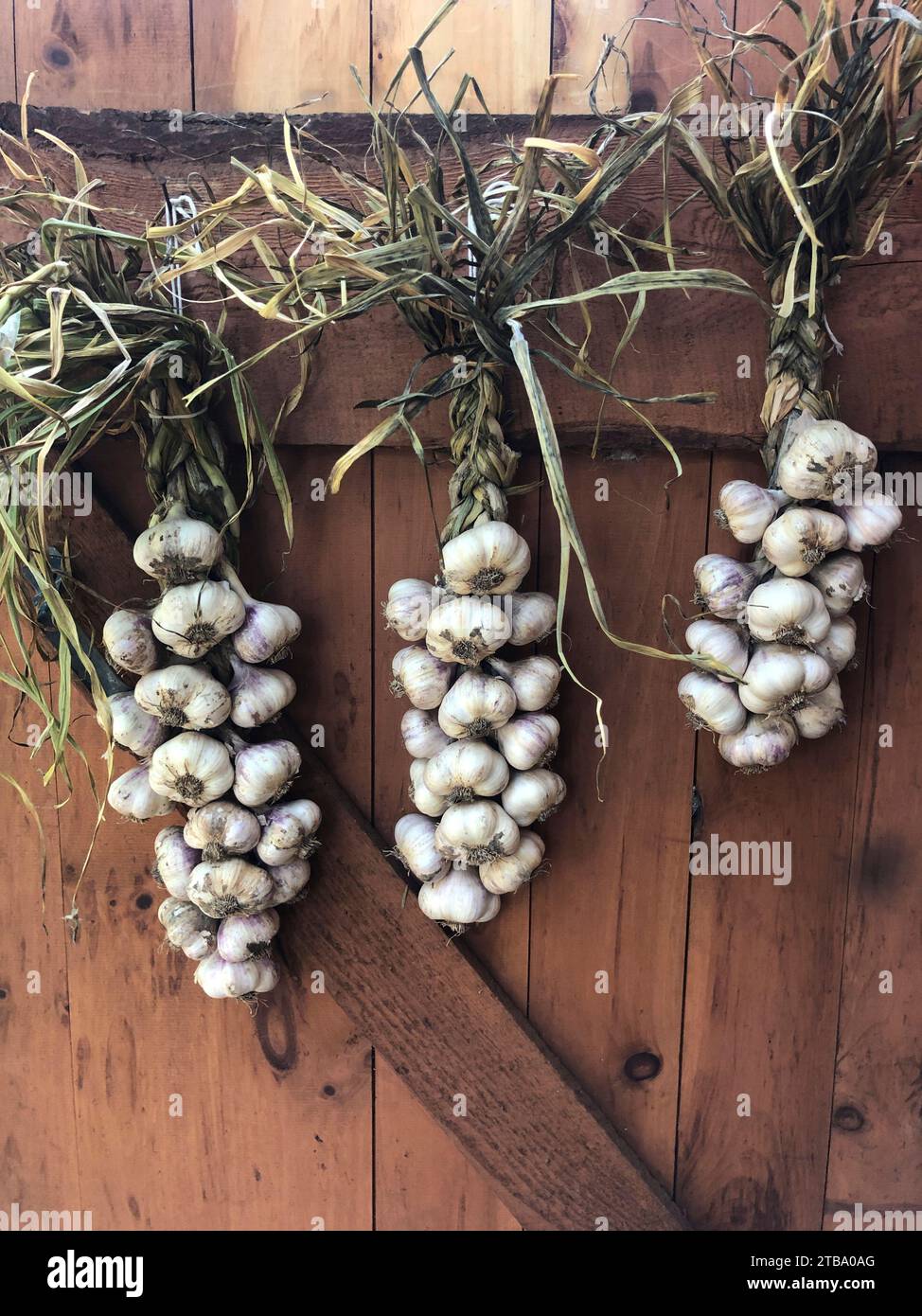 Braids garlic hi-res stock photography and images - Alamy