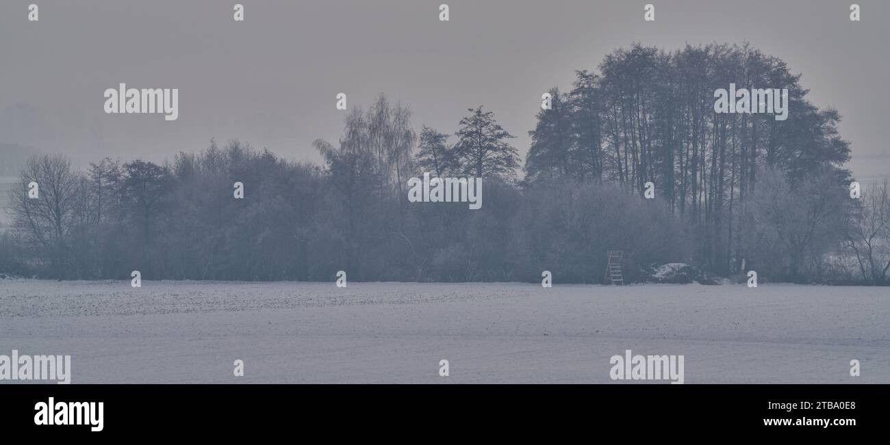 Winter landscape after the first snowfall Stock Photo - Alamy