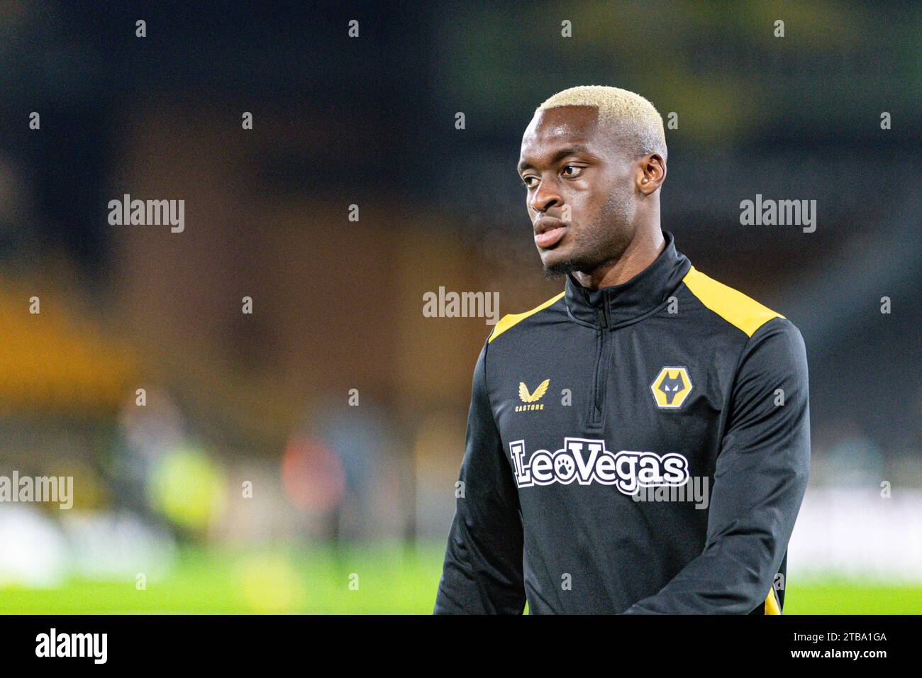 Toti gomes wolves hi-res stock photography and images - Alamy