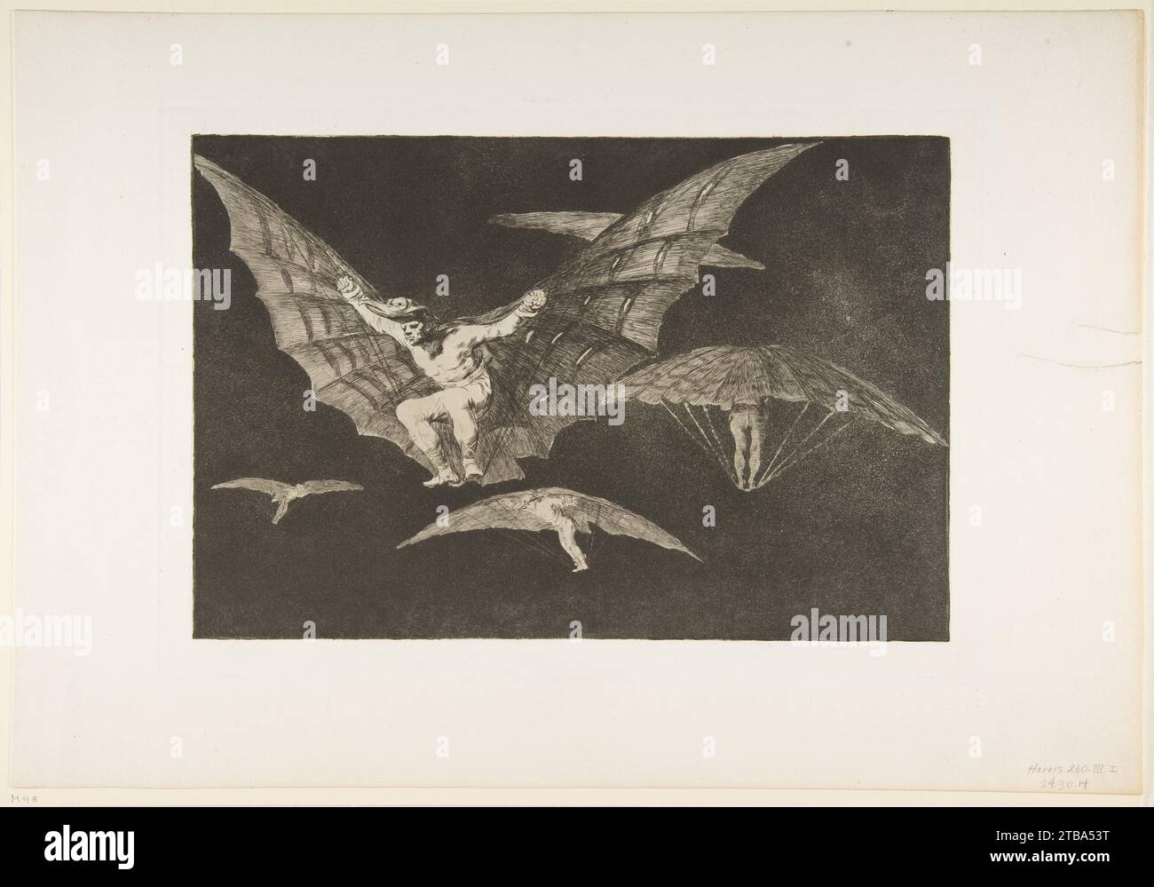 'A Way of Flying' from the 'Disparates' (Follies / Irrationalities ...