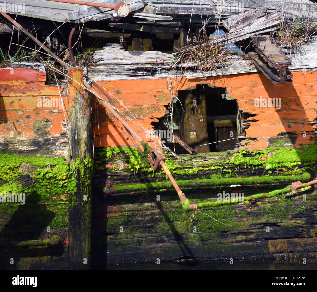 Ragged hole in hull of a shipwrecked schooner, the Mary D. Hull ...