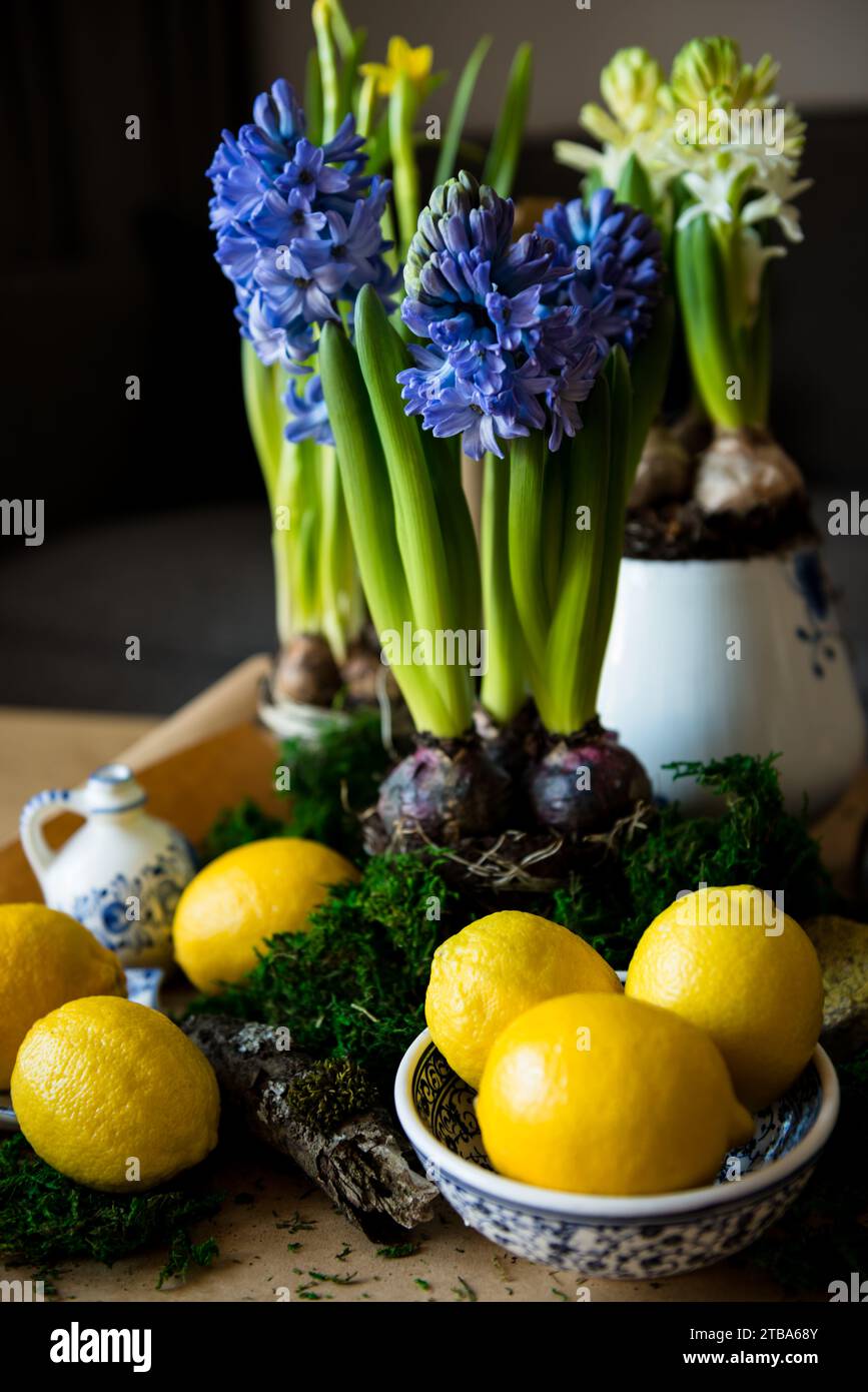 Beautiful table setting narcissus hi-res stock photography and images ...