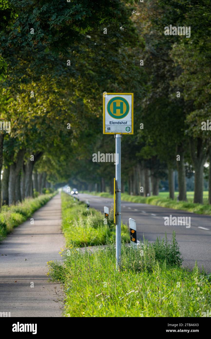 Bus line 48 hi-res stock photography and images - Alamy