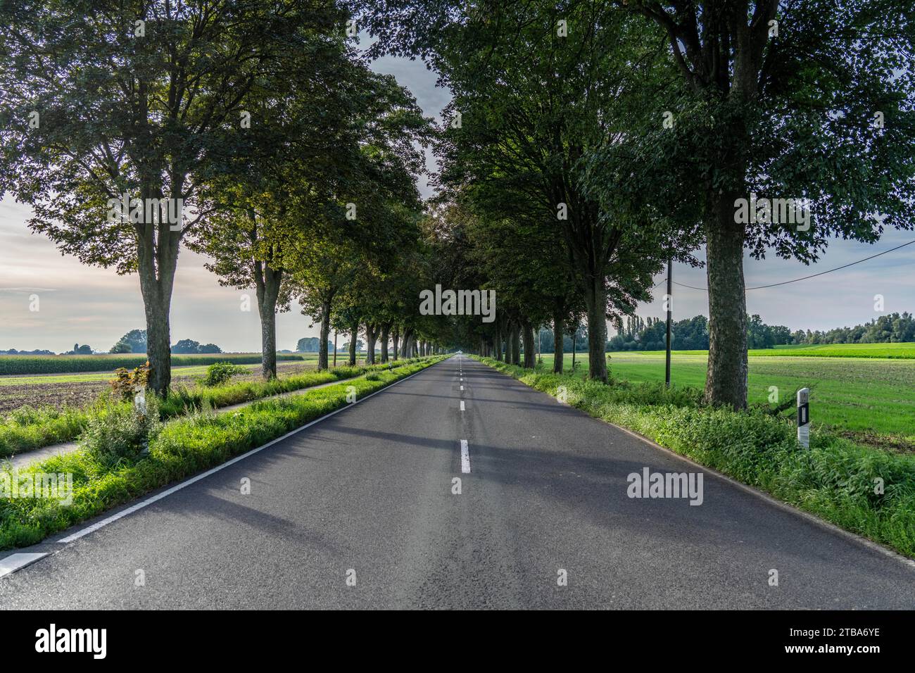 Daytime running lights hi-res stock photography and images - Alamy