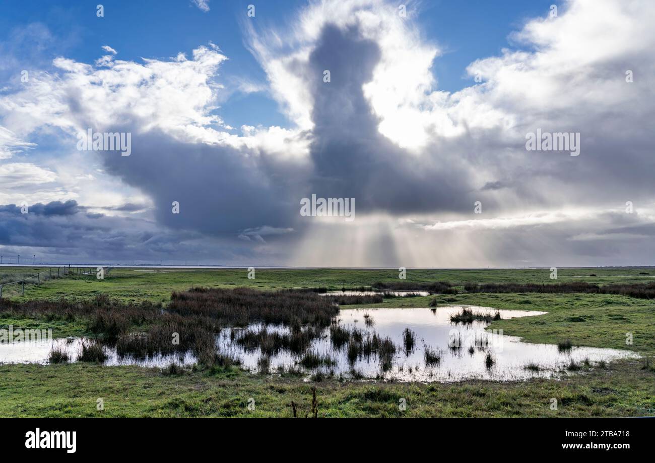North Sea island of Spiekeroog, East Frisia, Lower Saxony, Germany ...
