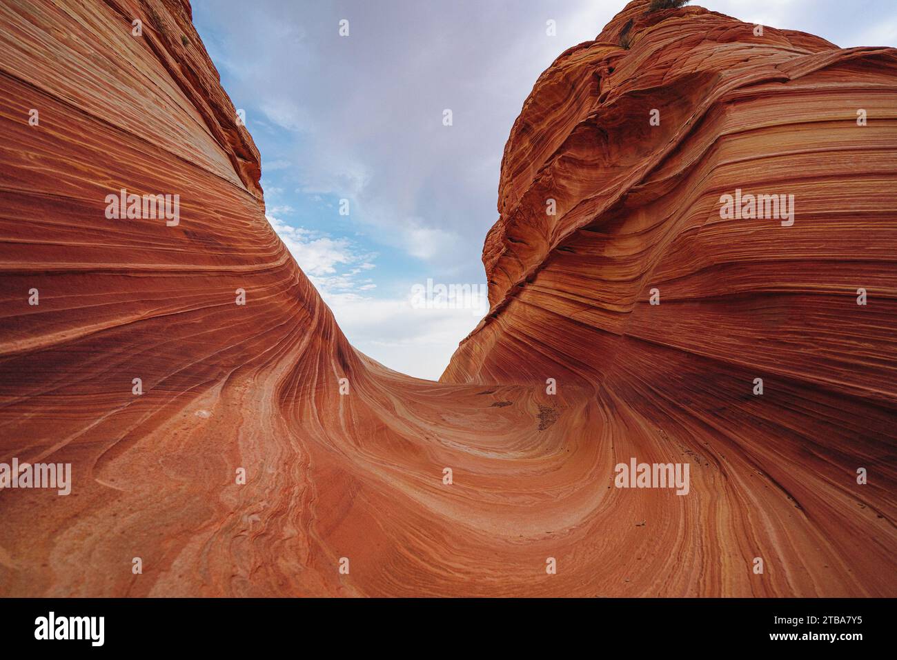 Waves of stone scattered across the landscape Stock Photo - Alamy