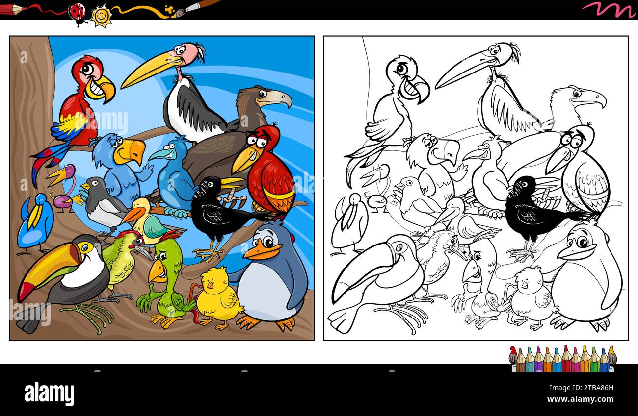 cartoon illustration of funny colorful birds animal characters group ...
