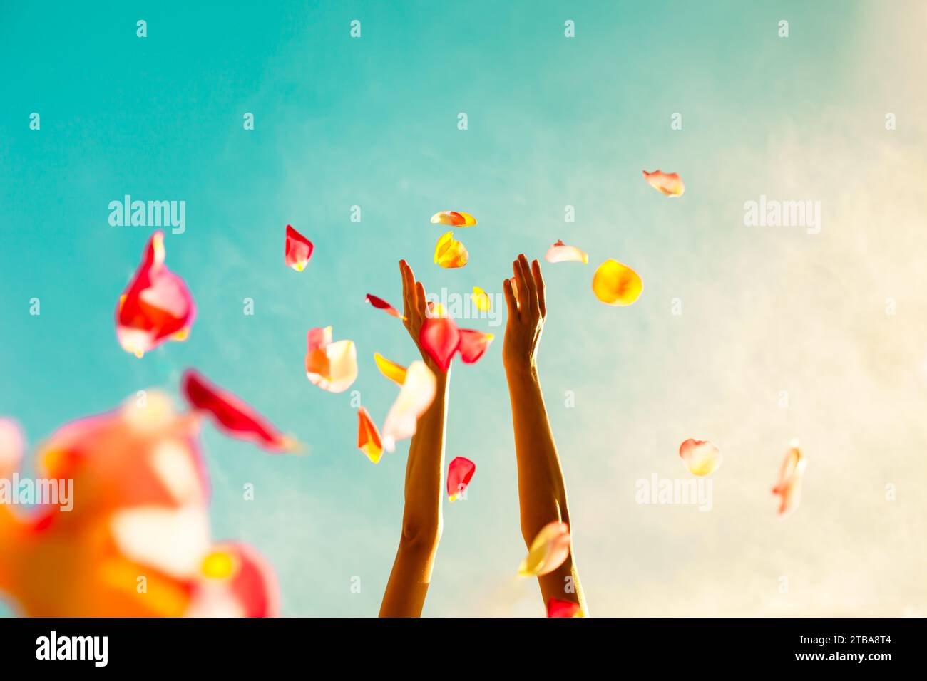 Hand throwing flower petals in the air, celebration, wedding, beautiful ...