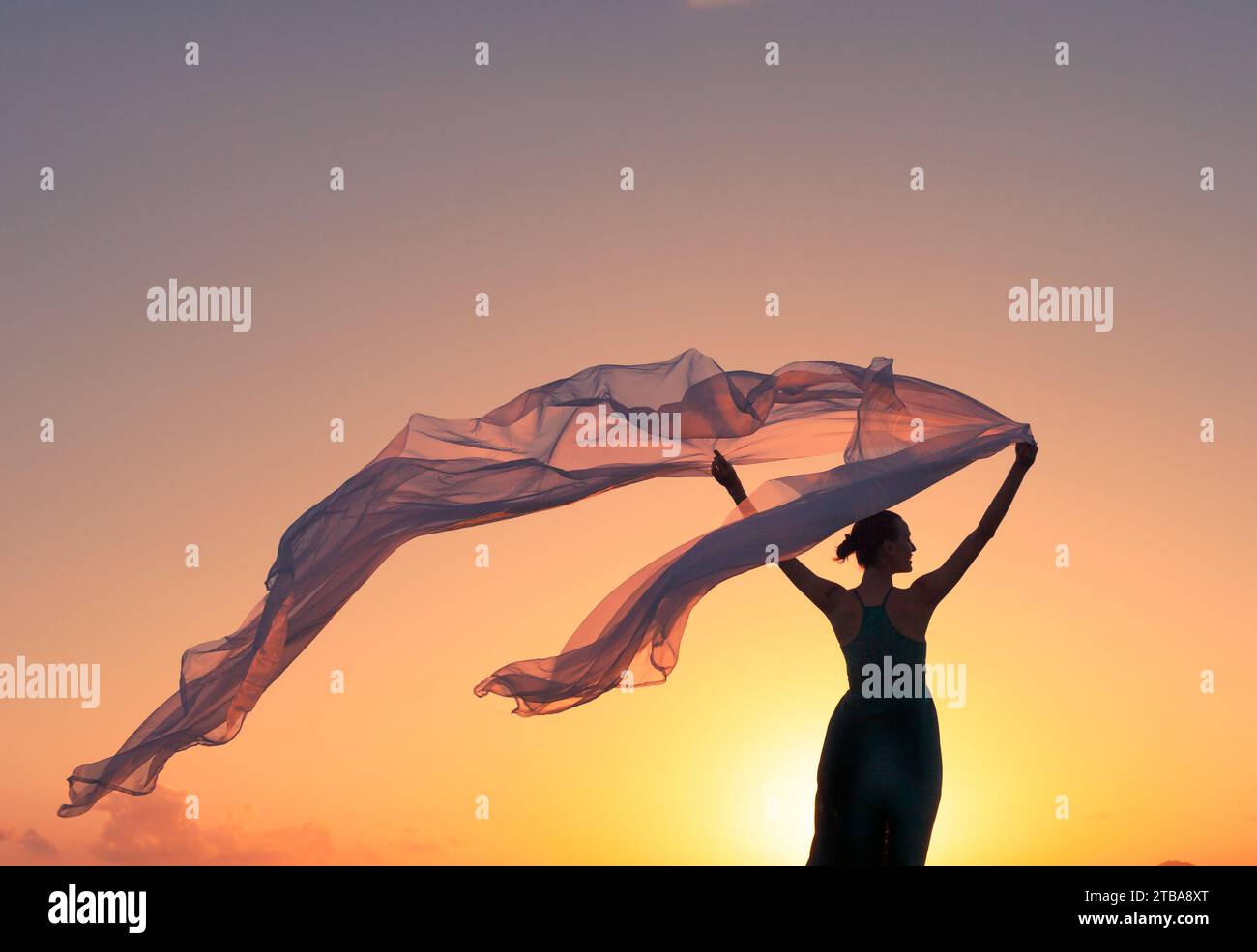 silhouette of female standing in a field wearing dress holding cloth ...