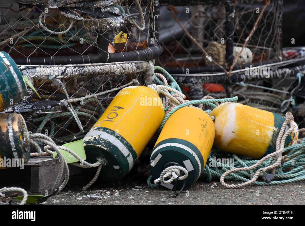 Floats, in yellow, white and black, lay bunched together at a dock in ...