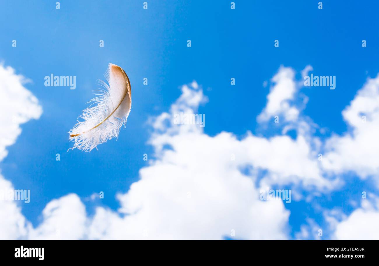 Feather floating in the sky Stock Photo - Alamy