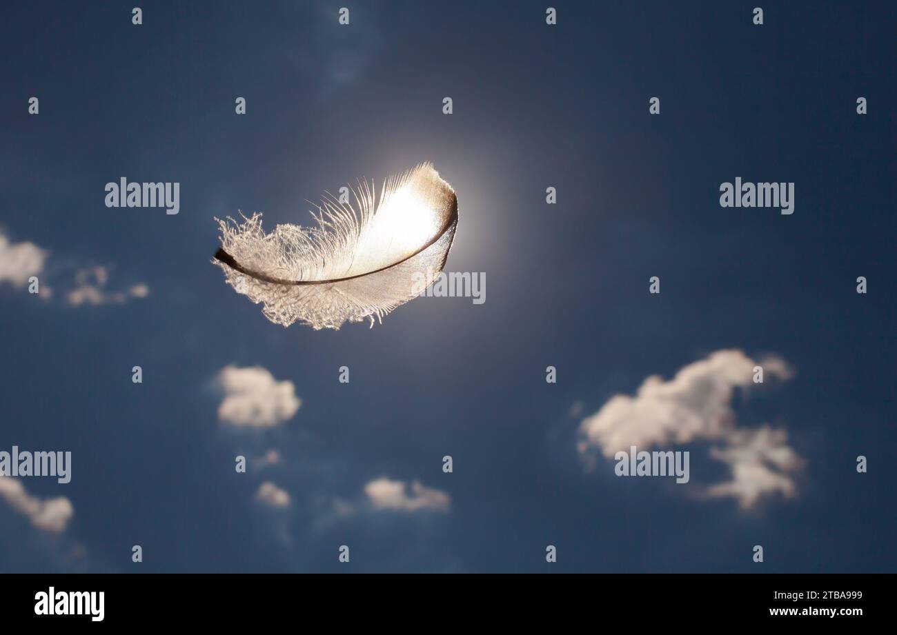 Feather floating in the sky, peace, freedom concept Stock Photo - Alamy