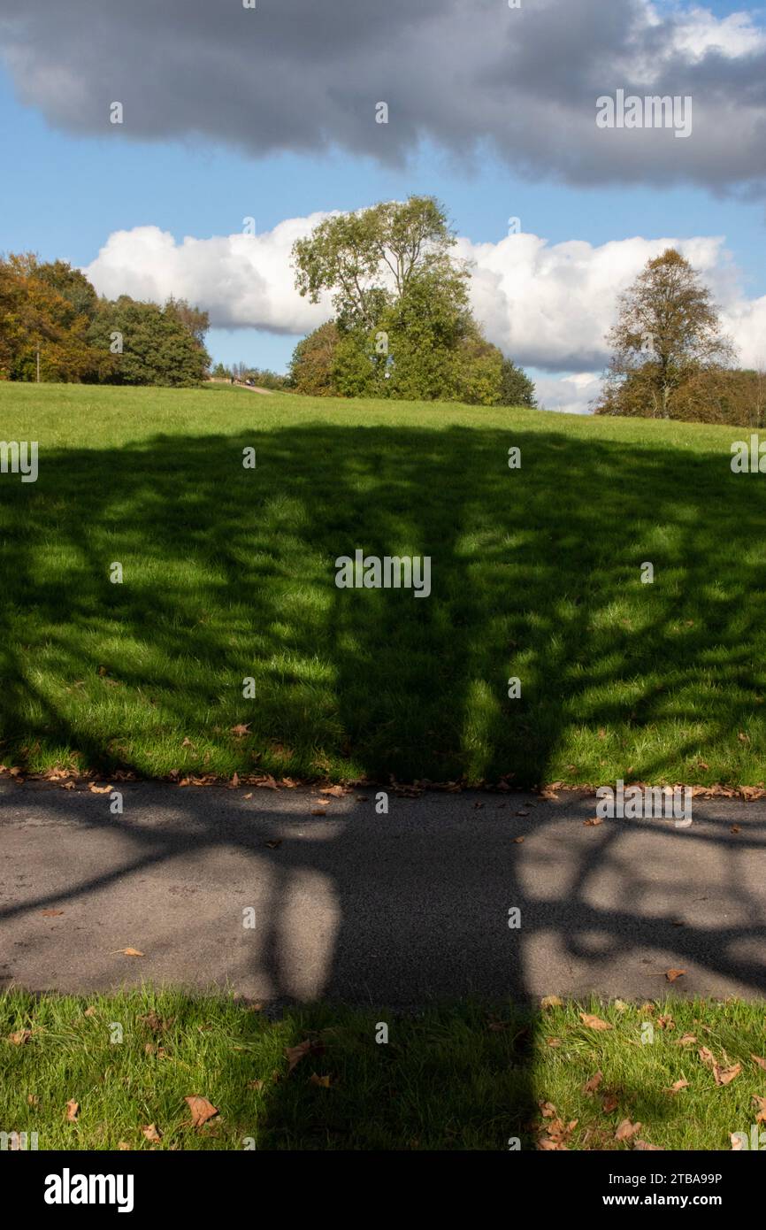 3 large trees hi-res stock photography and images - Alamy