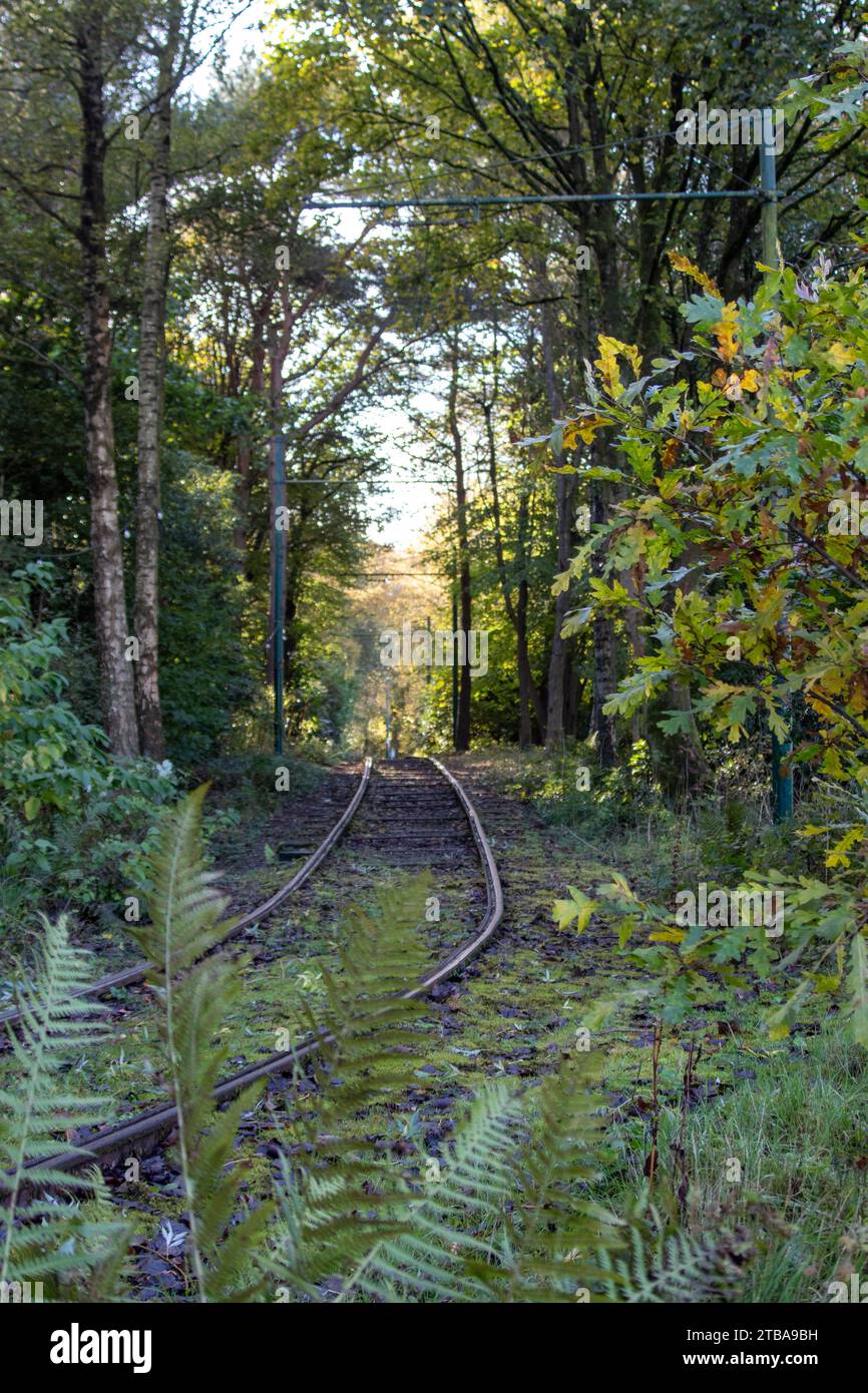Railway Line and Autumn Trees in Heaton Park, Manchester Stock Photo ...