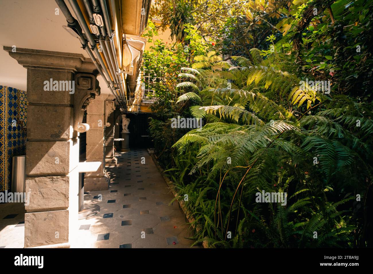 Guillermo tovar de teresa museum hi-res stock photography and images ...