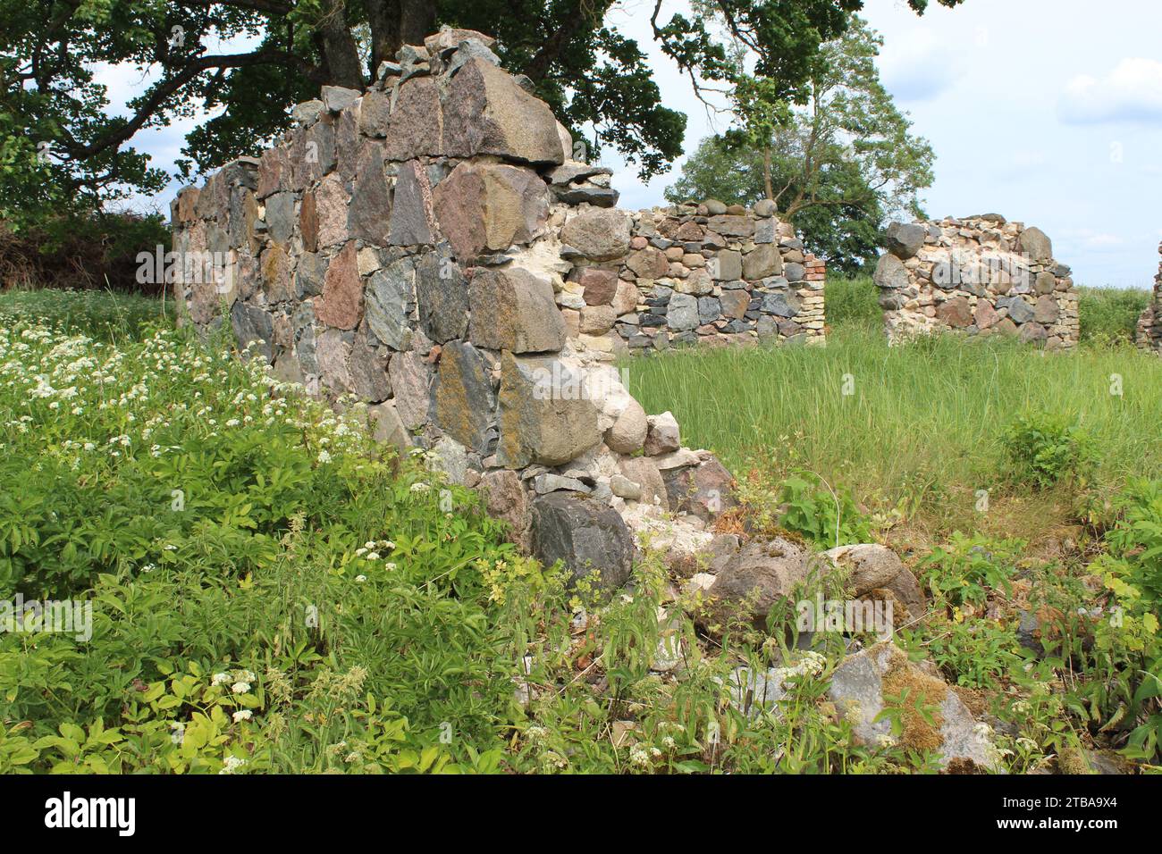 Stone walls all the remains of a farmhouse in Sece, Latvia Stock Photo ...