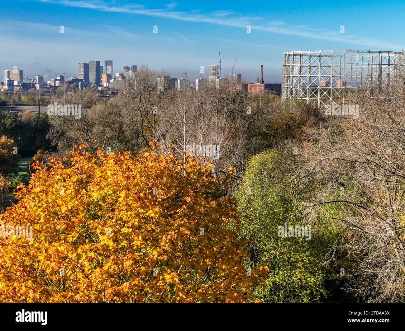 Tree skyline hi-res stock photography and images - Alamy