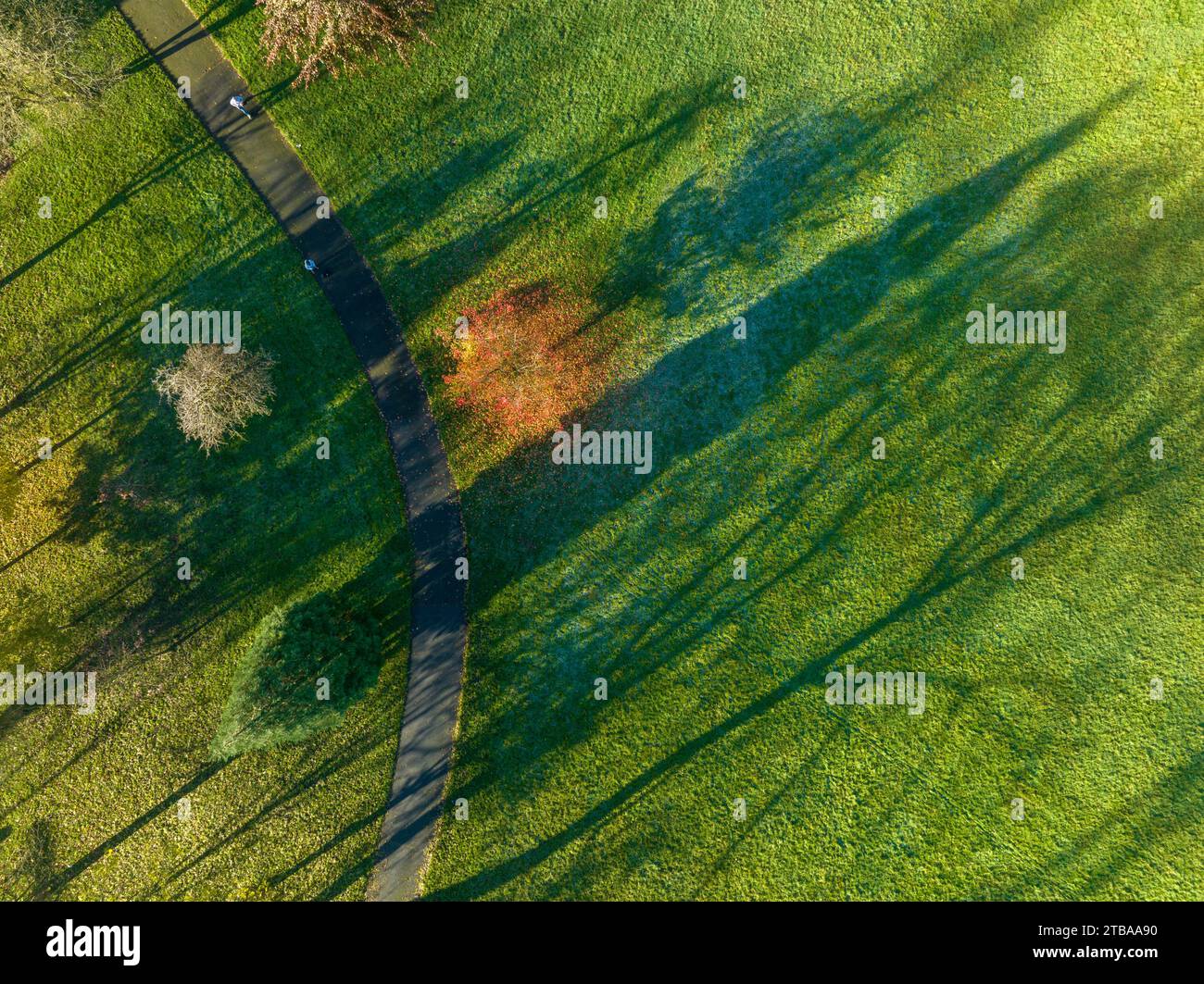 Trees in park above aerial hi-res stock photography and images - Alamy
