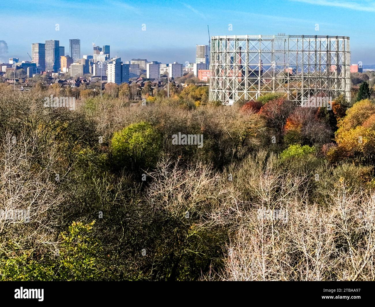 Tree skyline hi-res stock photography and images - Alamy