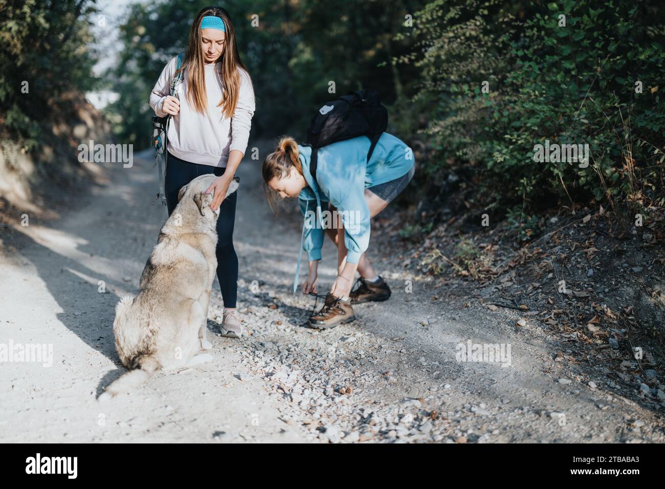 Friends Enjoying a Sunny Day Hiking in the Forest. A Fun Outdoor ...