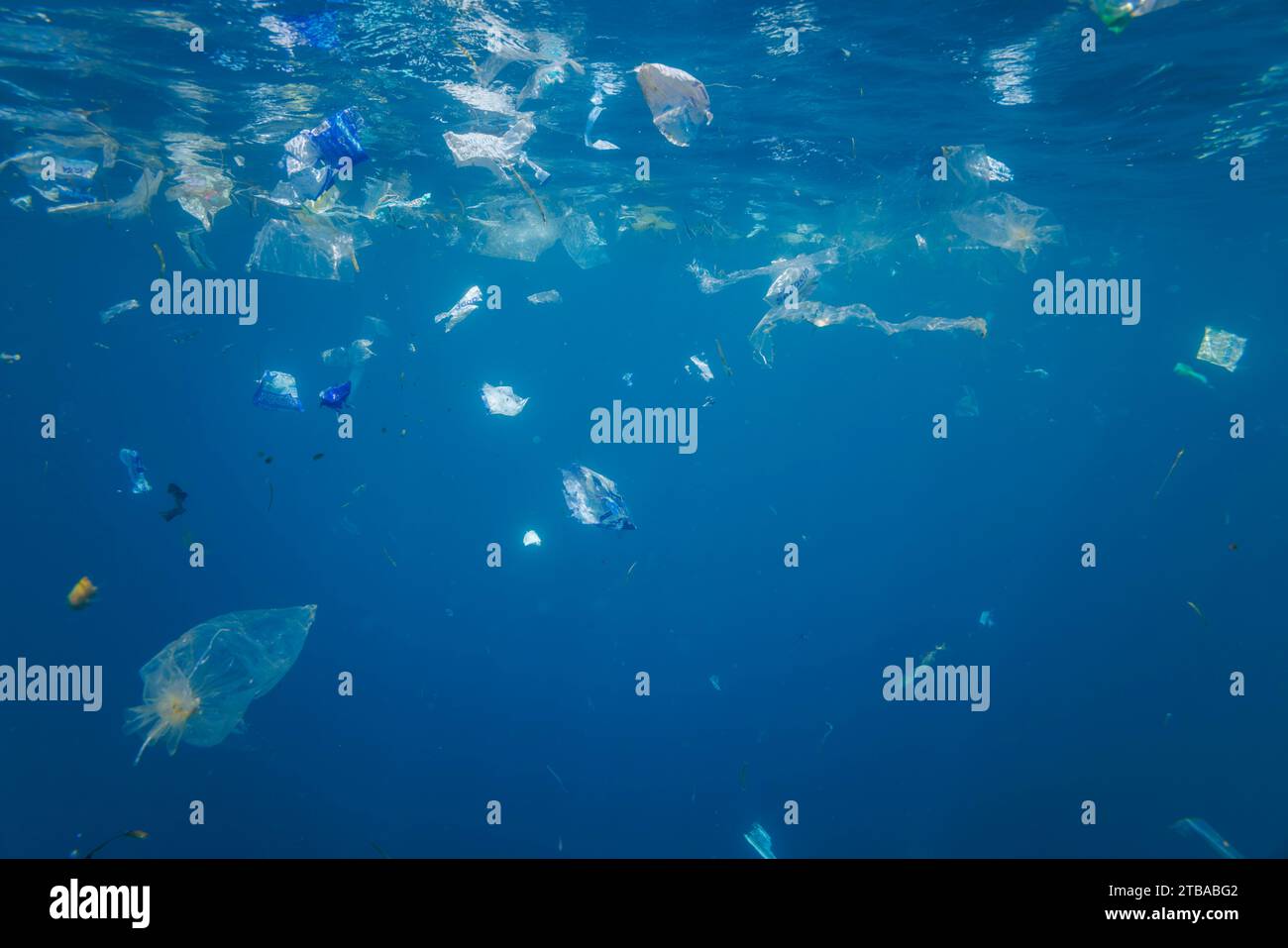 Garbage floating underwater ecology catastrophe hi-res stock ...