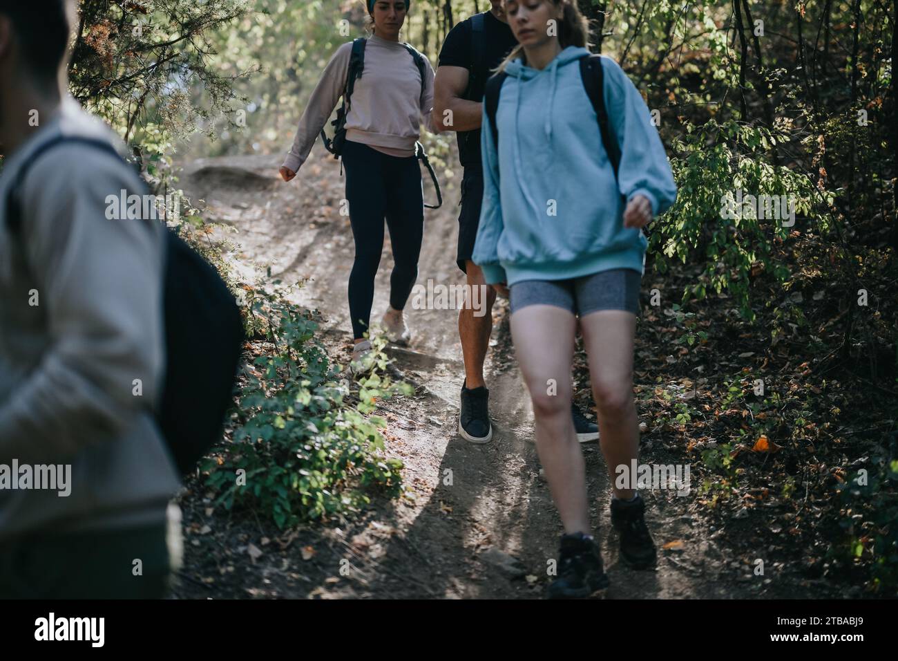 Group of Friends Enjoying a Sunny Day Hike in the Wilderness Stock ...