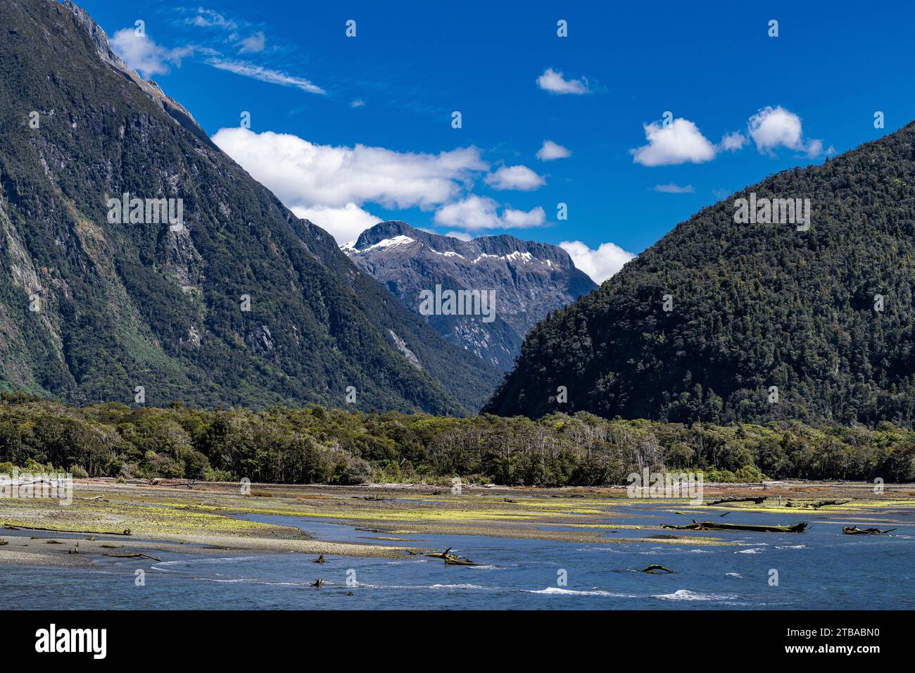 Views of Milford Sound while on a boat to the ocean Stock Photo - Alamy