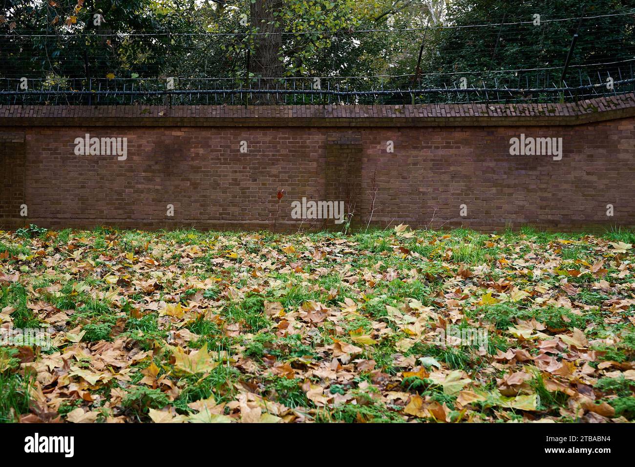 Red brick wall with autumn leaves on grass Stock Photo - Alamy