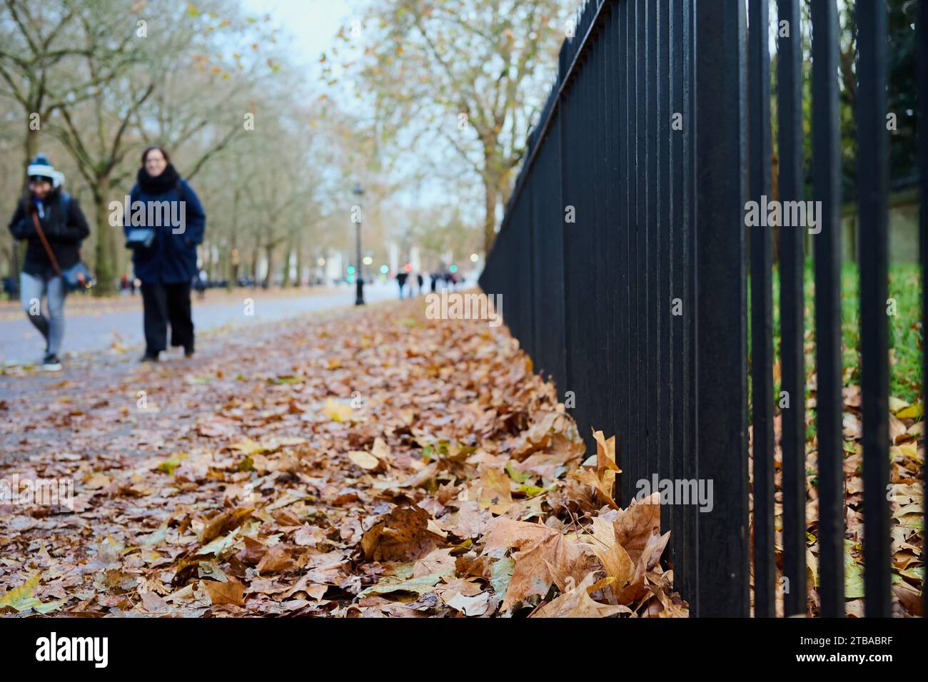 Autumn leaves on ground on rainy day with two people walking past Stock ...