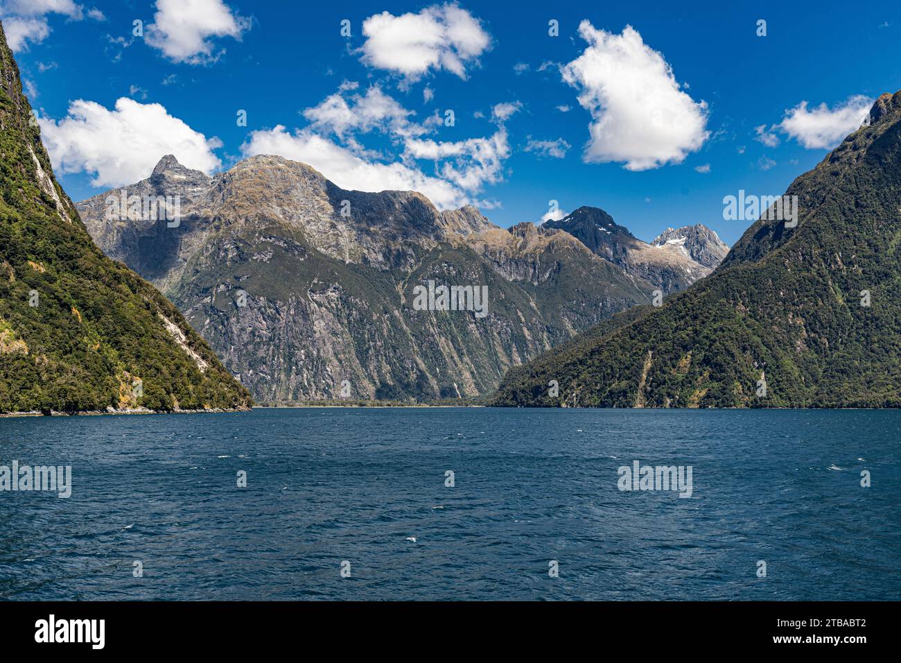 Views of Milford Sound while on a boat to the ocean Stock Photo - Alamy