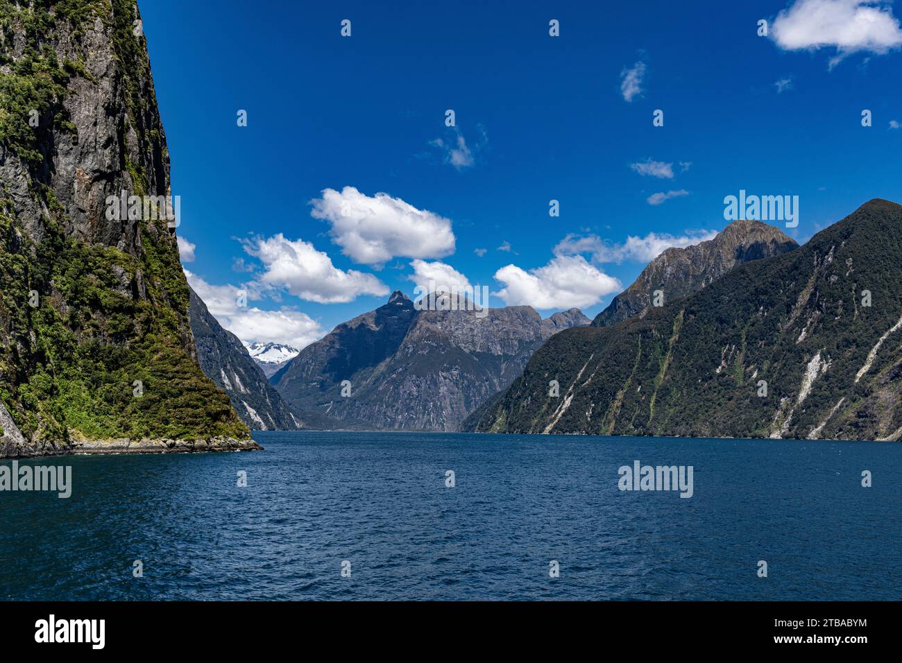 Views of Milford Sound while on a boat to the ocean Stock Photo - Alamy