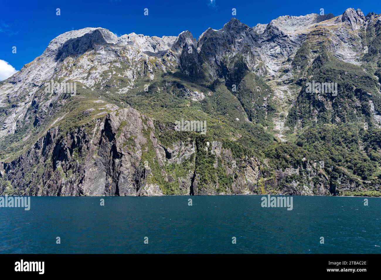 Views of Milford Sound while on a boat to the ocean Stock Photo - Alamy