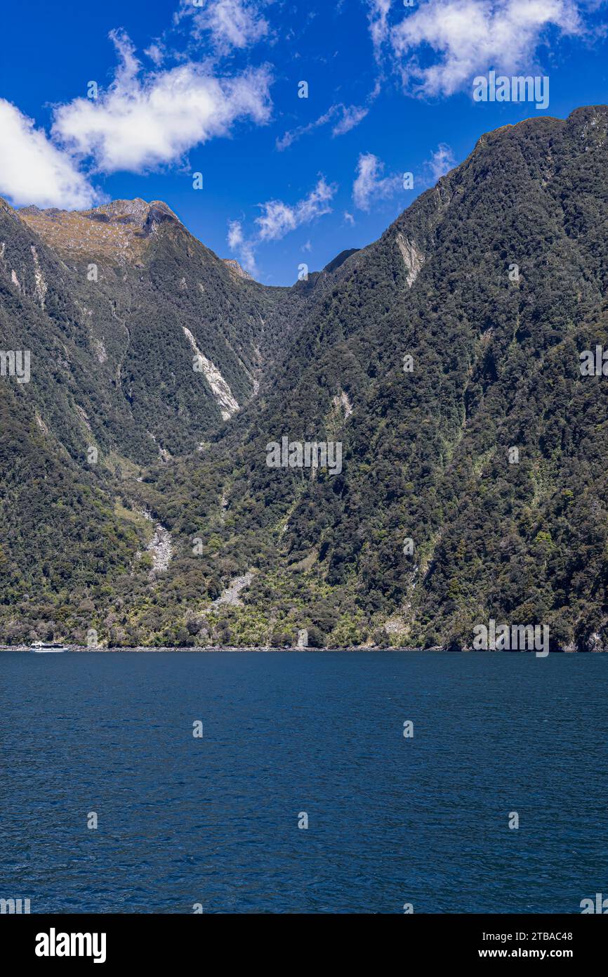 Views of Milford Sound while on a boat to the ocean Stock Photo - Alamy