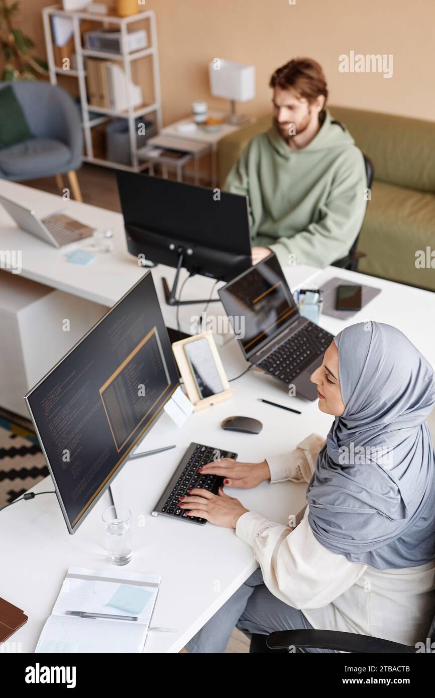 High angle portrait of two people working in IT developers office with ...