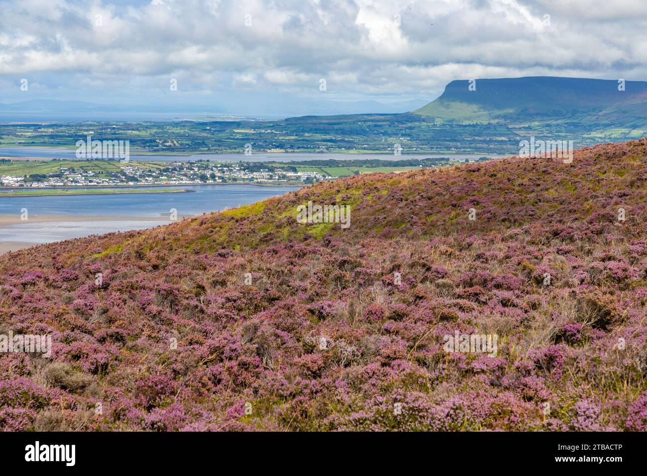 Knocknarea mountain vegetation with ocean in background, Grange North ...