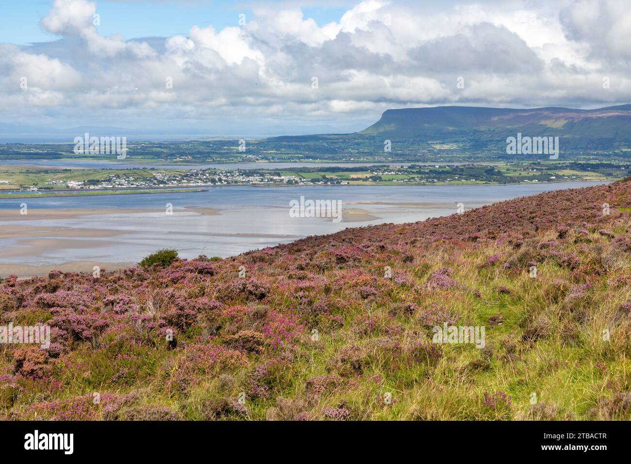 Knocknarea mountain vegetation with ocean in background, Grange North ...
