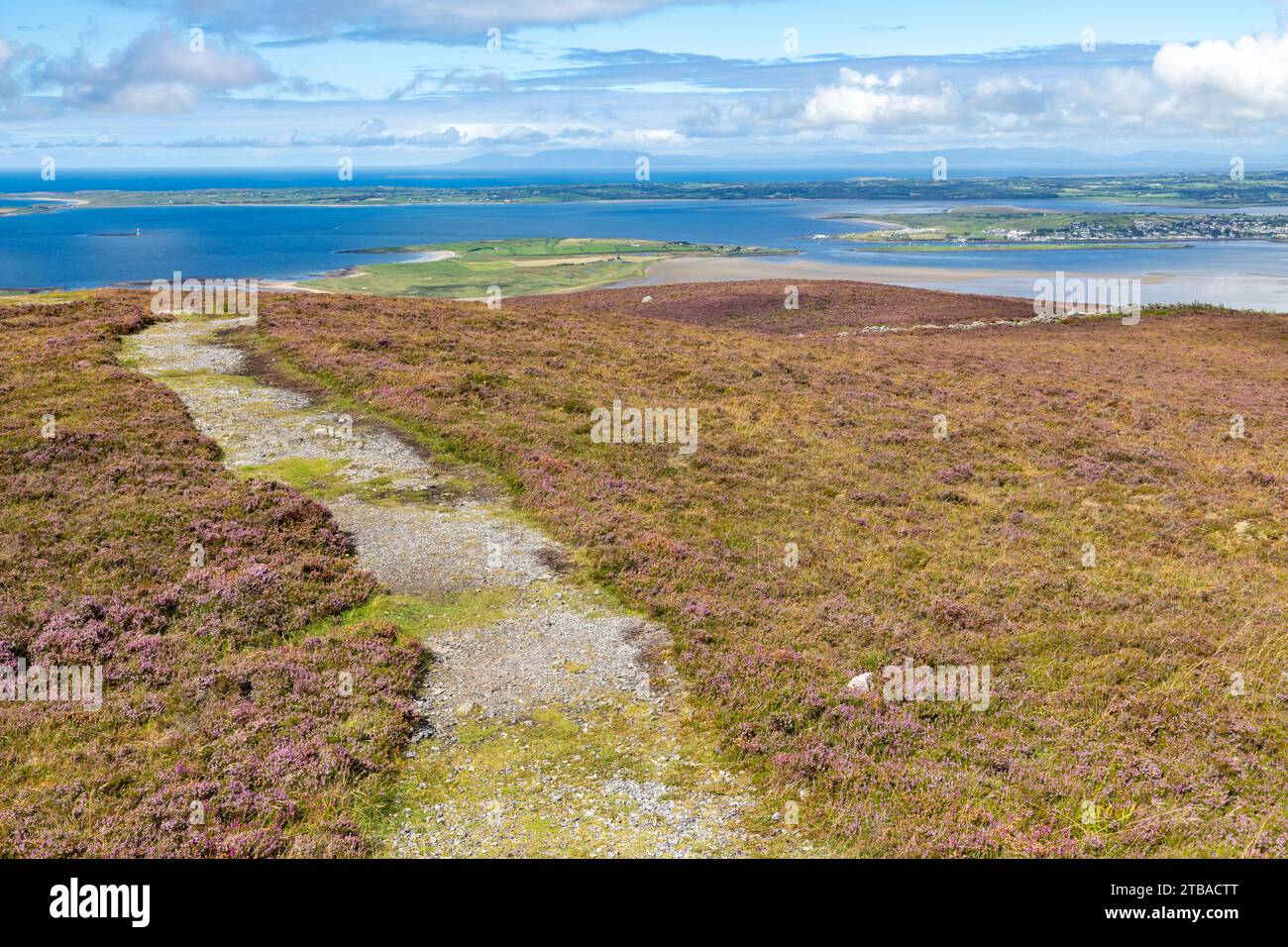 Trail to Knocknarea mountain with ocean in background, Grange North ...