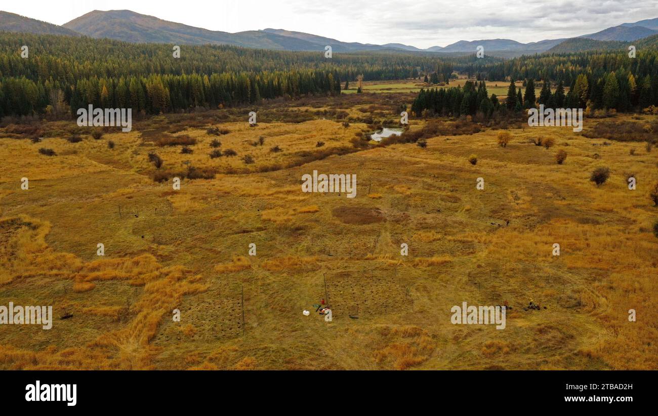 Aerial view of Broadie Habitat Preserve during tree planting ...