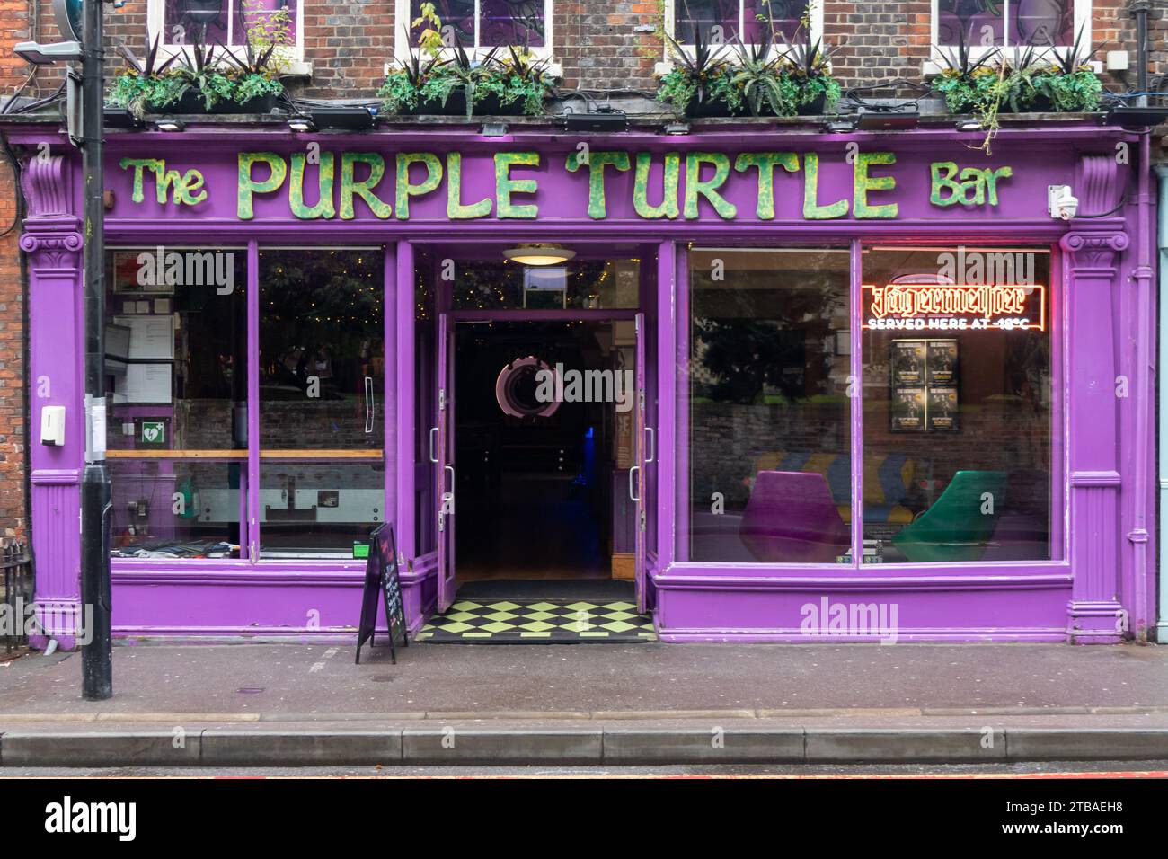 The Purple Turtle Bar, Reading Berkshire, England, UK Stock Photo - Alamy