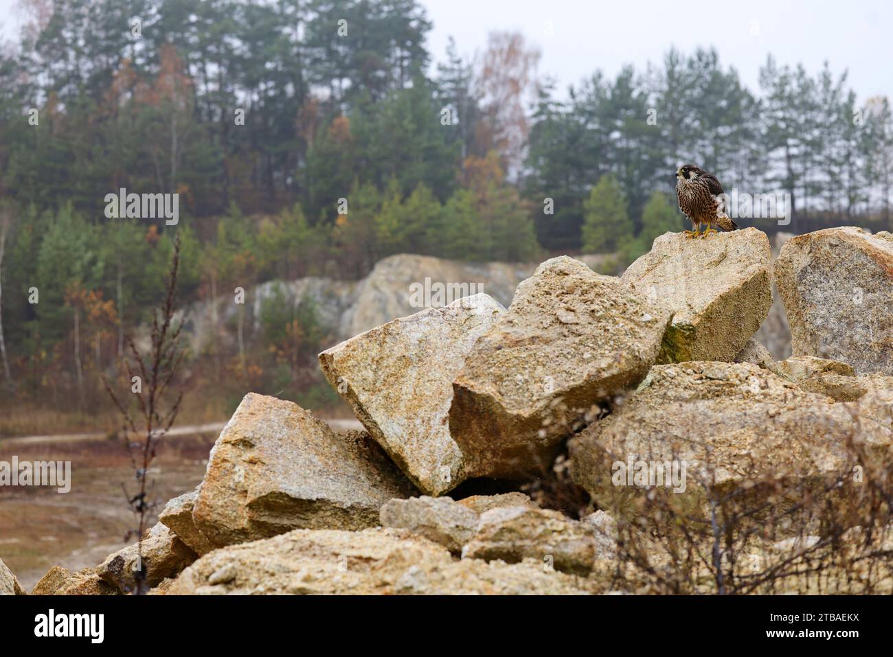 Quarry rocks hi-res stock photography and images - Alamy