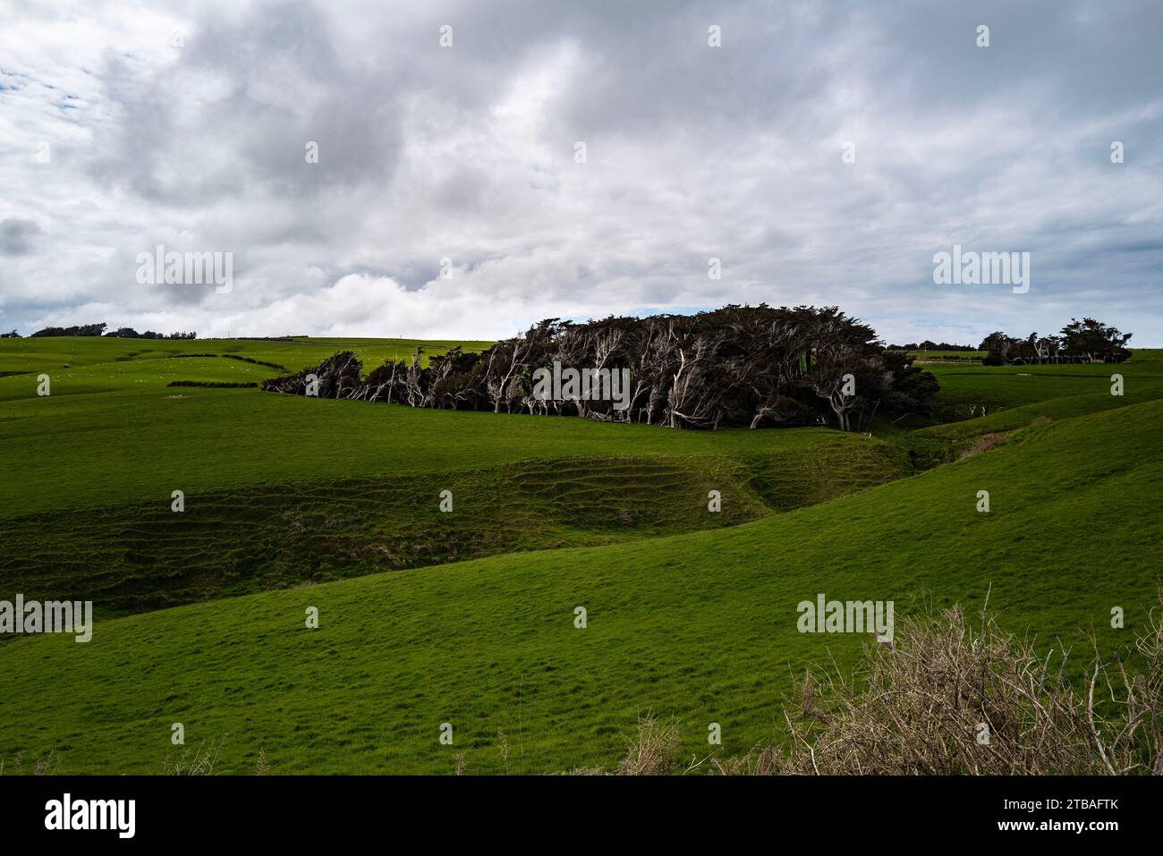 Road trip around the South Island of New Zealand. pictured at Slope ...