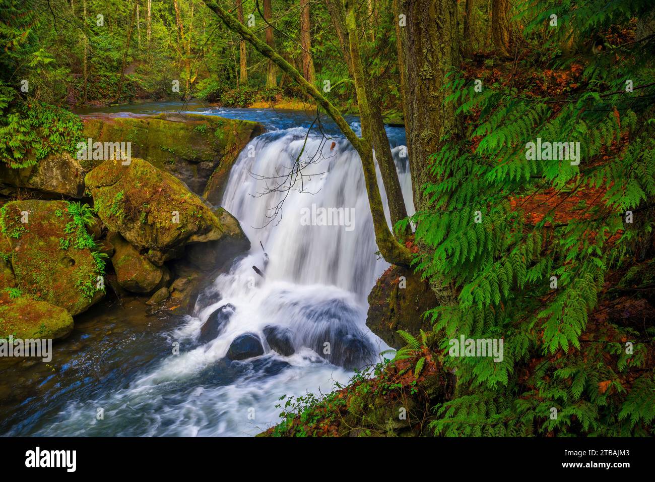 View of a waterfall (Whatcom Creek) from the stone bridge in Whatcom ...
