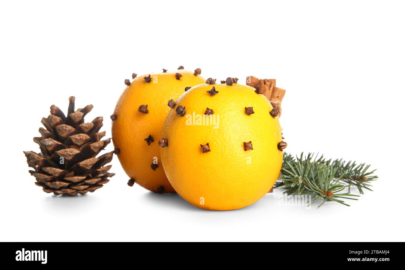 Pomander balls with Christmas tree branch and cone on white background ...