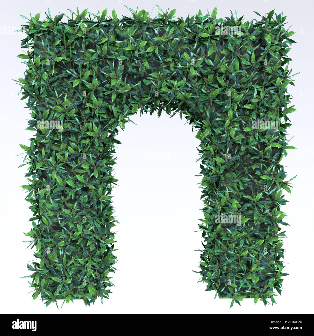 Arch Hedge isolated on white background Stock Photo - Alamy