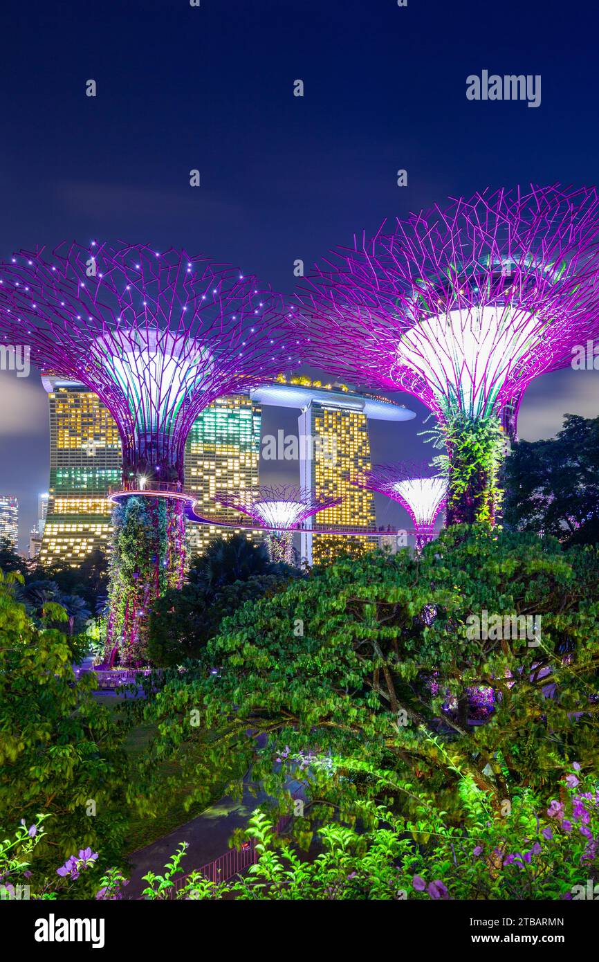 The nightly lightshow at the Supertree Grove in Gardens By The Bay in ...