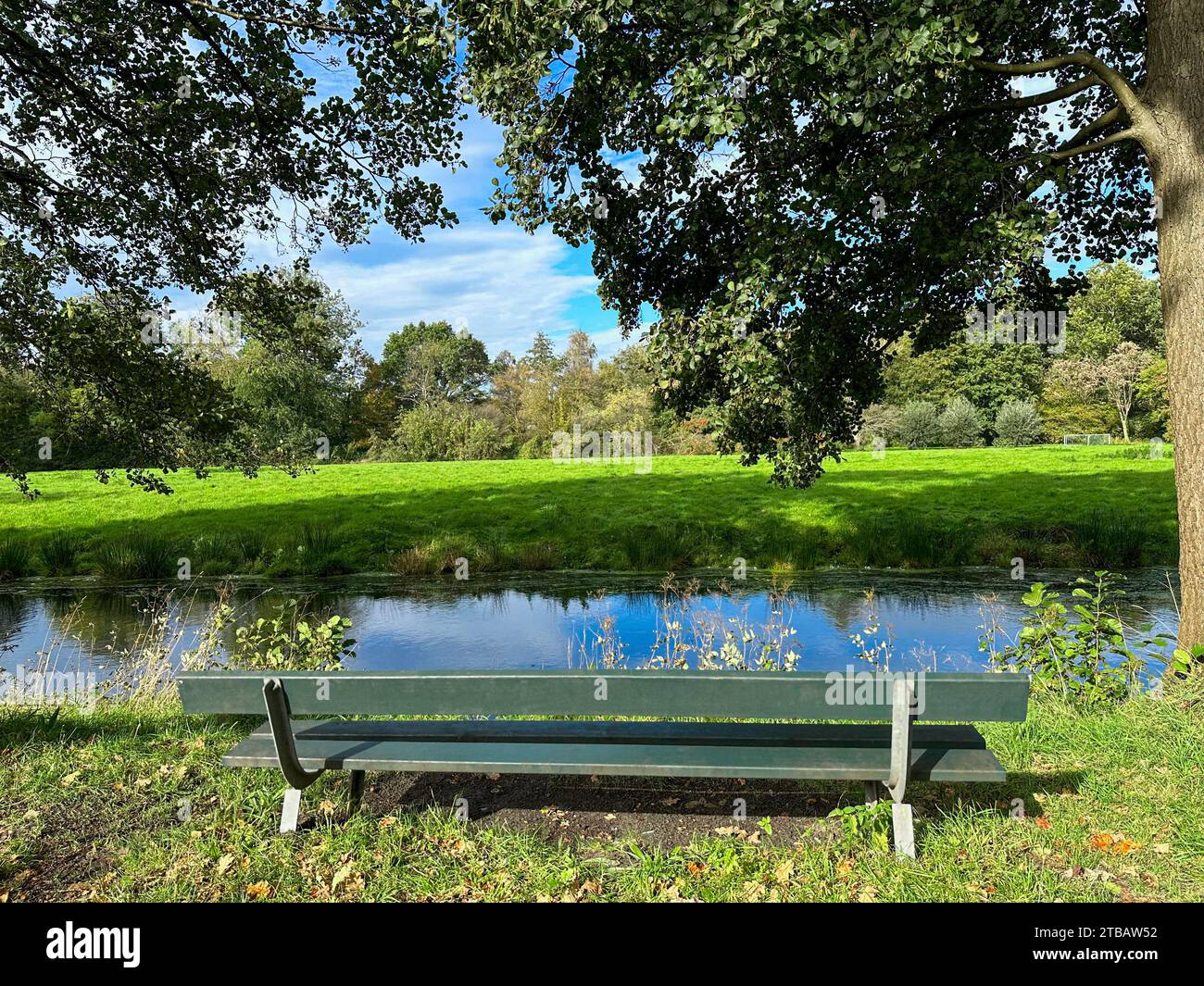 Empty bench near pond hi-res stock photography and images - Alamy