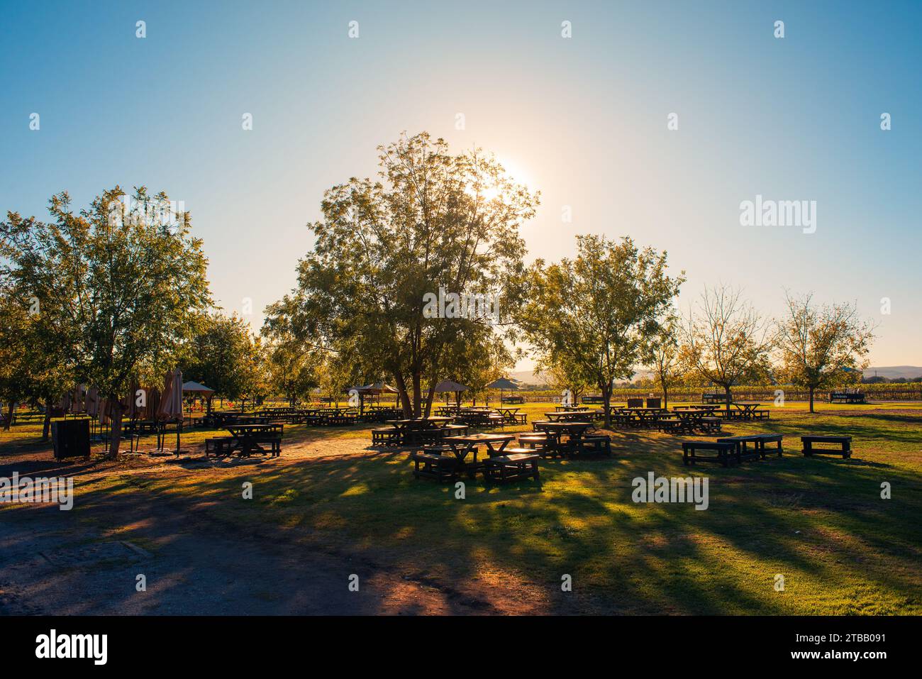 Beautiful sunset in the forest, camping place without people with ...