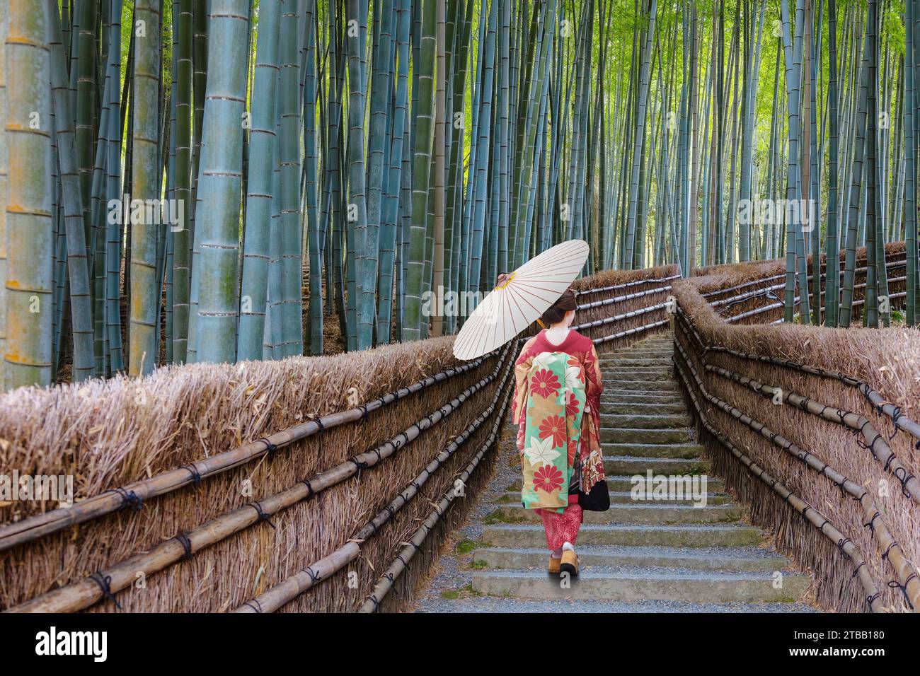 A Bamboo Grove at Adashino Nenbutsuji Temple in Kyoto, Japan Stock ...