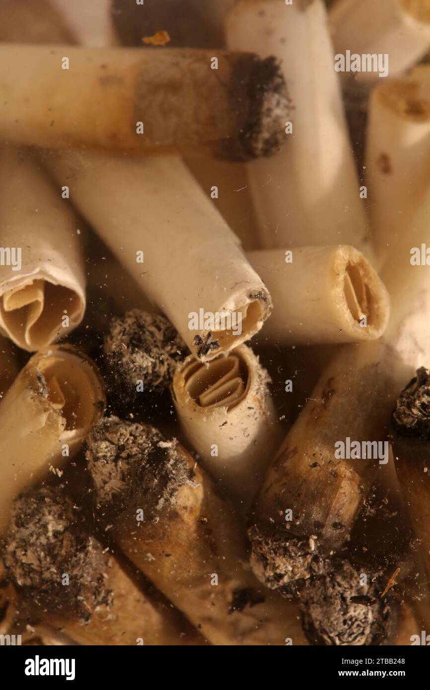 Lots of smoking joints tips in transparent glass macro Medical cannabis ...