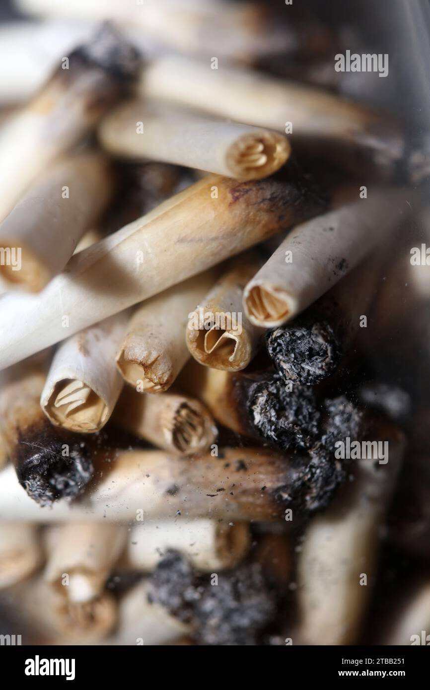 Lots of smoking joints tips in transparent glass macro Medical cannabis ...